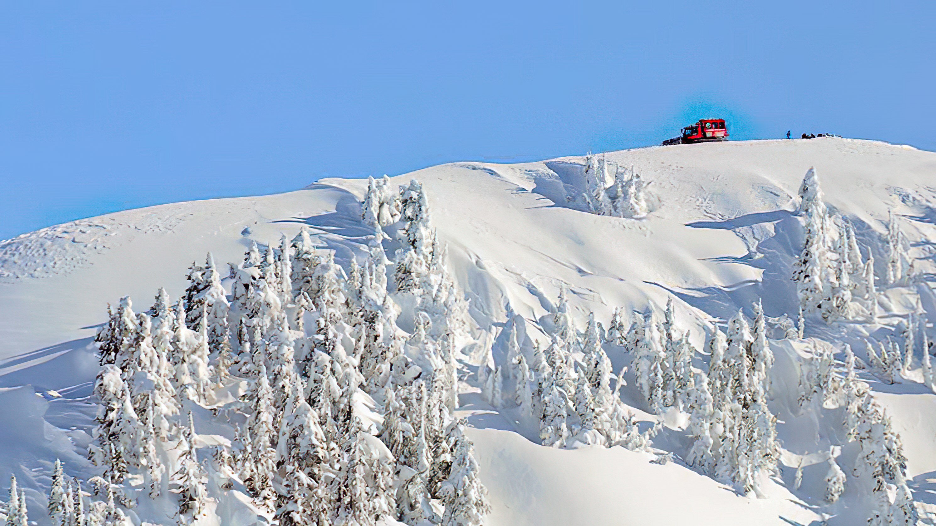 Powder Mountain Catskiing - Whistler - Canada | LUEX