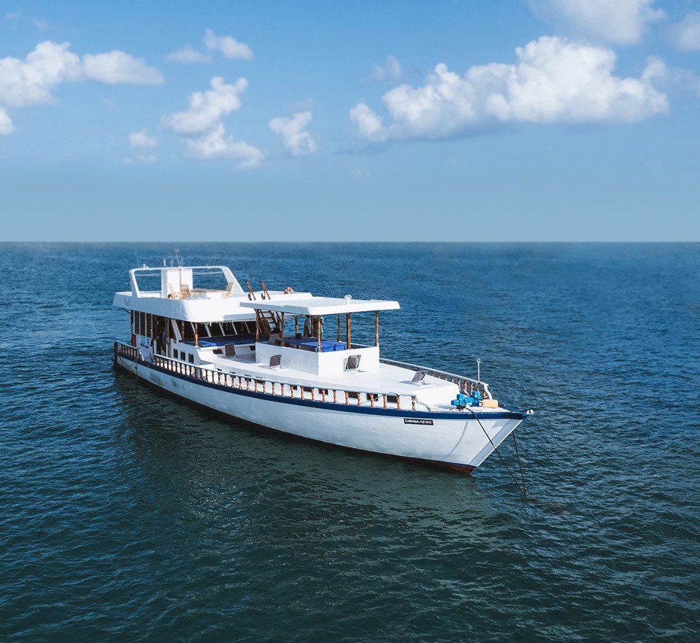 Kefi - Maldives Liveaboard - Traditional Maldivian Dive and Surf ...