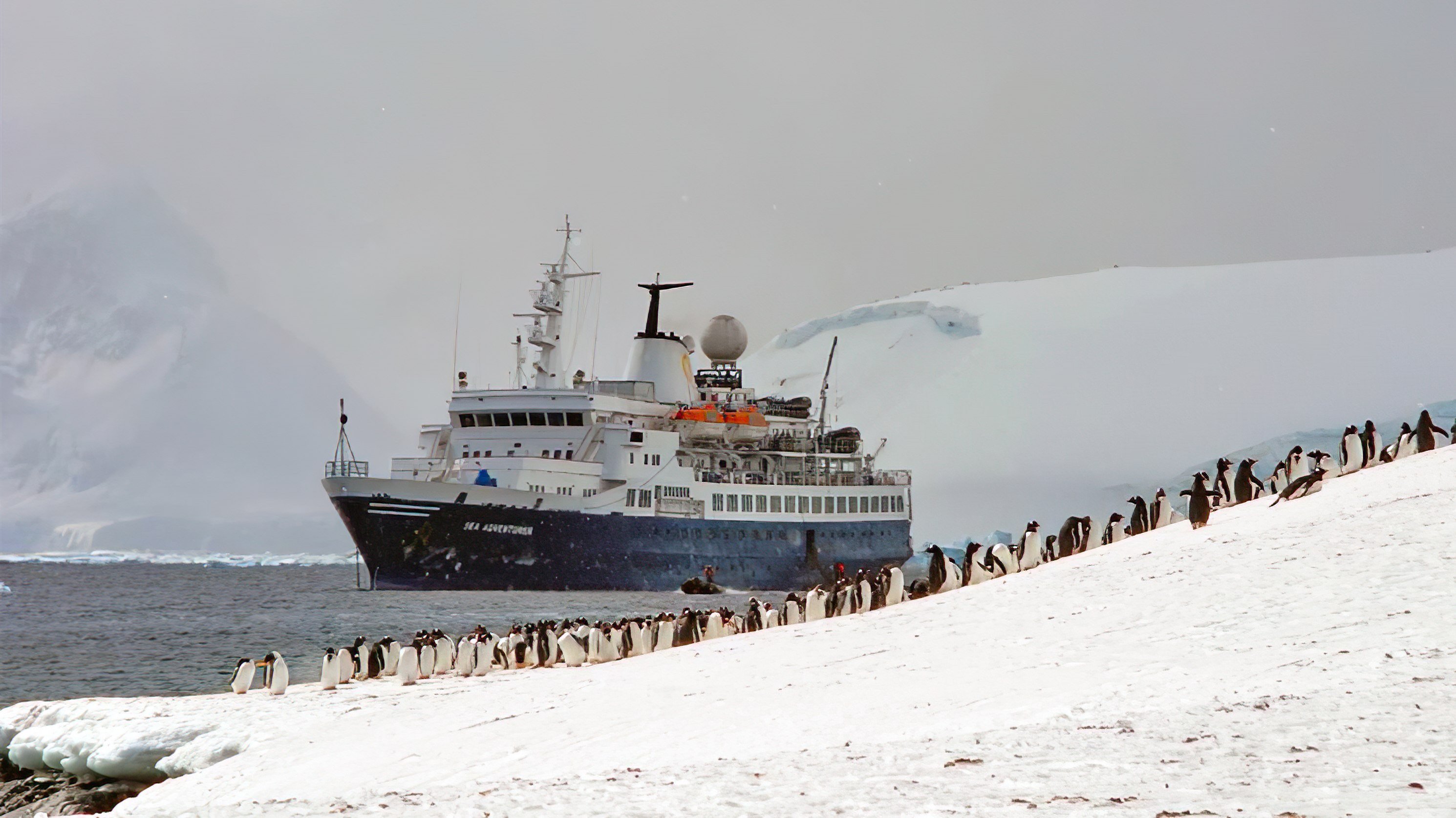 Ski Touring and Freeride in Antarctica with a luxury boat | LUEX